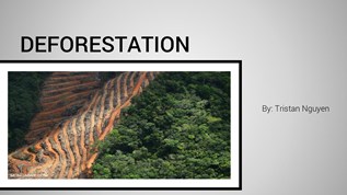Deforestation at emaze Presentation