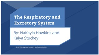 The Respiratory and Excretory System at emaze Presentation