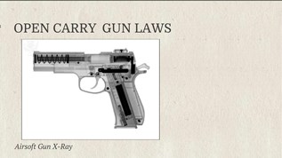 Open Carry at emaze Presentation