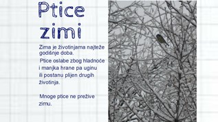 PTICE ZIMI at emaze Presentation