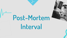 Post-Mortem Interval at emaze Presentation