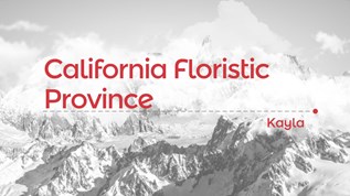 California Floristic at emaze Presentation