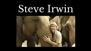 Steve Irwin at emaze Presentation