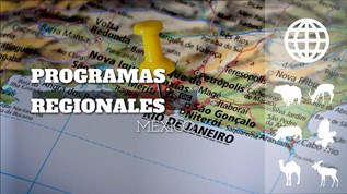 programas regionales at emaze Presentation