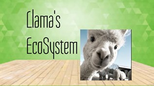 Llama's EcoSystem at emaze Presentation
