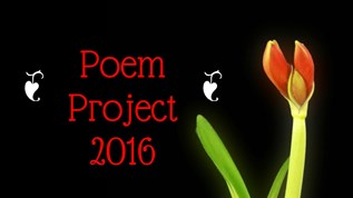Poem Project at emaze Presentation