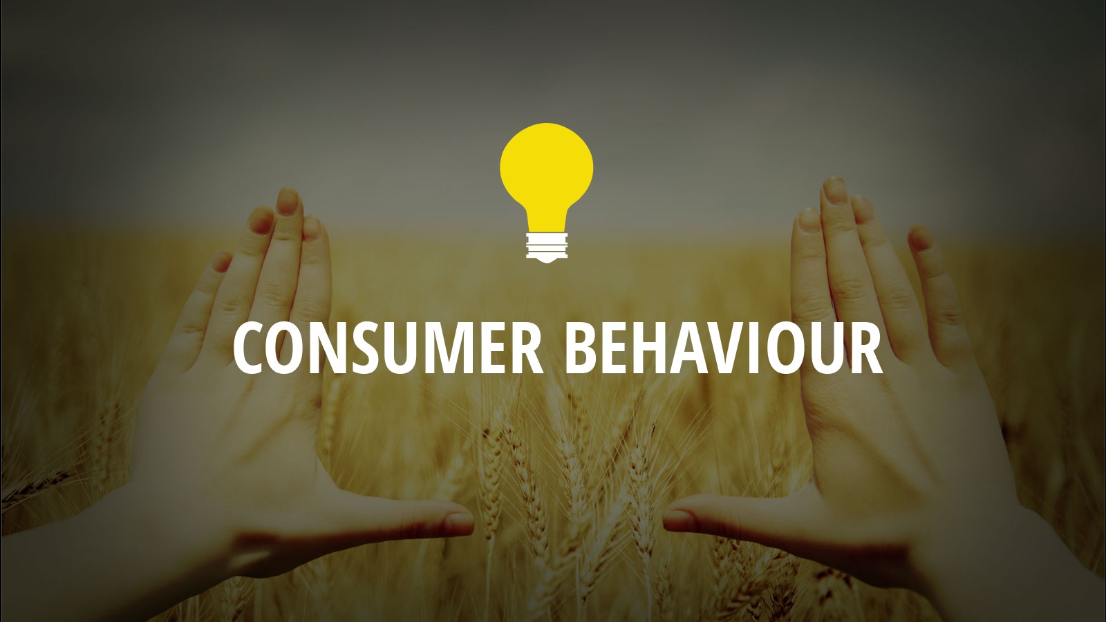Consumer Behaviour at emaze Presentation