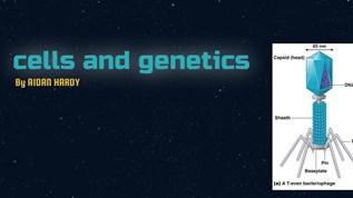 cells and genetics at emaze Presentation