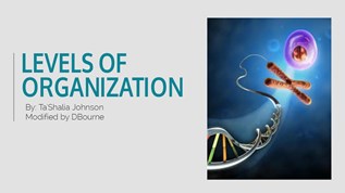 Levels of Organization copy1 at emaze Presentation