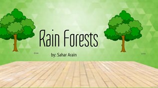 Rain Forests at emaze Presentation