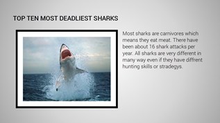 Top Ten most deadly sharks at emaze Presentation