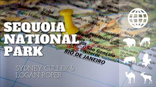 Sequoia national park at emaze Presentation