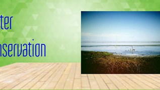 Water Conservation at emaze Presentation