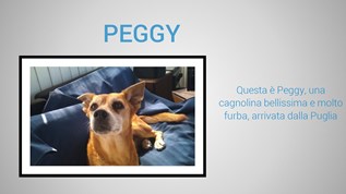 Peggy at emaze Presentation