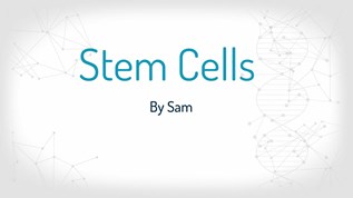 Stem Cells By Sam at emaze Presentation