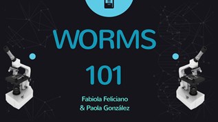 WORMS at emaze Presentation