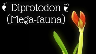 The Diprotodon at emaze Presentation