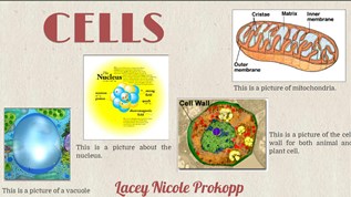 cells at emaze Presentation