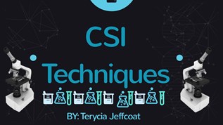 CSI Techniques at emaze Presentation