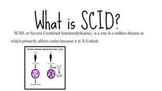 All About SCID at emaze Presentation