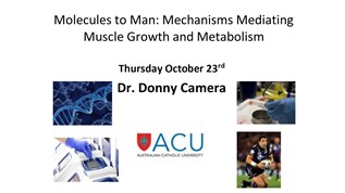 Presentation Name at emaze Presentation