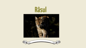 Rasul at emaze Presentation