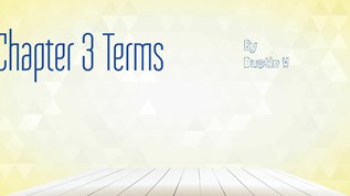 Chapter 3 Terms copy1 at emaze Presentation