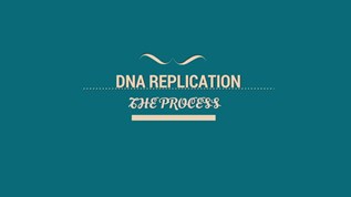 DNA REPLICATION at emaze Presentation