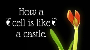 How a cell is like a castle! at emaze Presentation