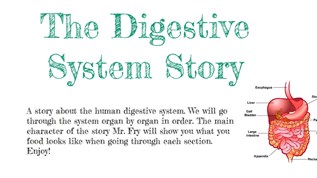 The Digestive at emaze Presentation