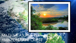 The Amazon Rainforest! at emaze Presentation