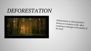 Deforestation at emaze Presentation