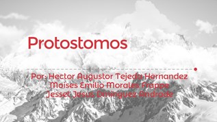 Protóstomos at emaze Presentation