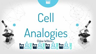 Cell Analogies at emaze Presentation