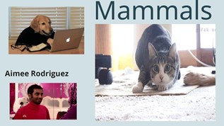 Mammals AP Bio at emaze Presentation