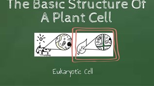 Eukaryotic Cell at emaze Presentation