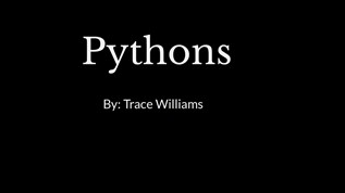 Pythons at emaze Presentation