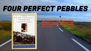 Four Perfect Pebbles Emaze Shane Tran at emaze Presentation