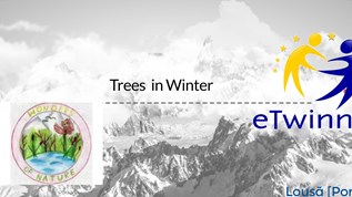Trees in Winter at emaze Presentation