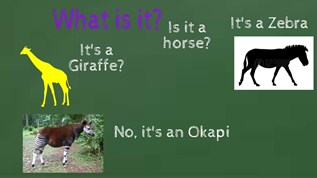 The OkapiA Adult at emaze Presentation