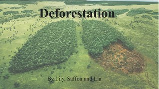 Deforestation at emaze Presentation