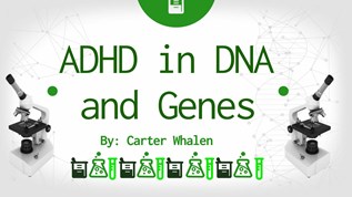 ADHD in DNA and Genes at emaze Presentation