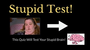 Stupid Test! at emaze Presentation