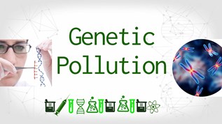 Genetic Pollution at emaze Presentation