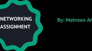 Networking Assignment at emaze Presentation