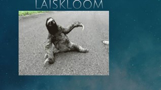 LAISKLOOM at emaze Presentation