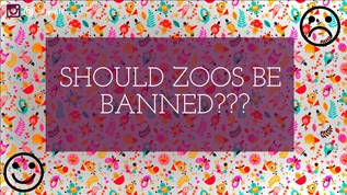 Should Zoos Be Banned at emaze Presentation