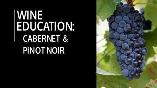 Wine Education: Cabernet & Pinot Noir at emaze Presentation