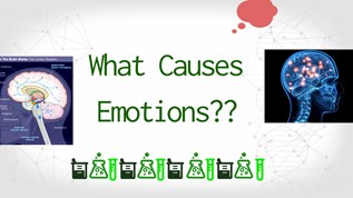 What Causes Emotions at emaze Presentation