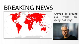 Breaking newsAnimals at emaze Presentation